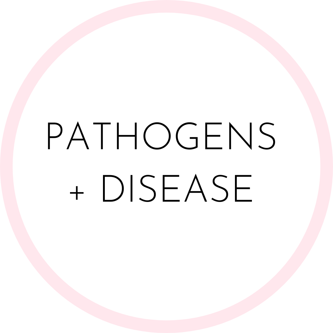 Pathogens + Disease – Science with Mrs. Barton