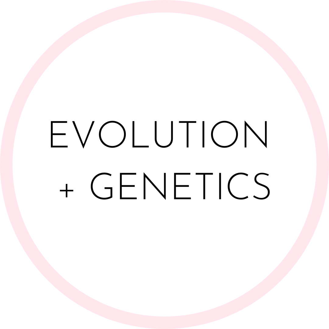 Evolution + Genetics – Science with Mrs. Barton